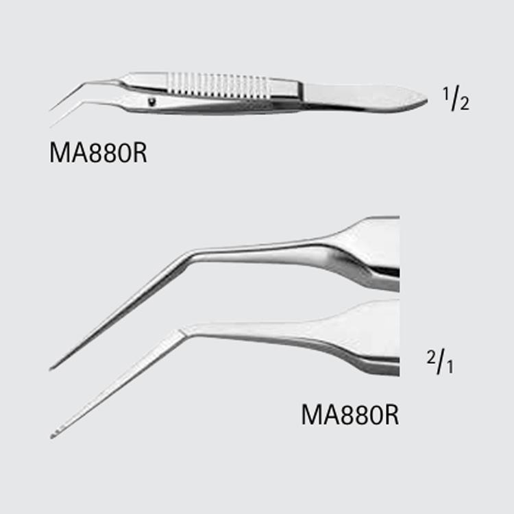 JAMESON Muscle Forceps, W/ Lock – Metro International